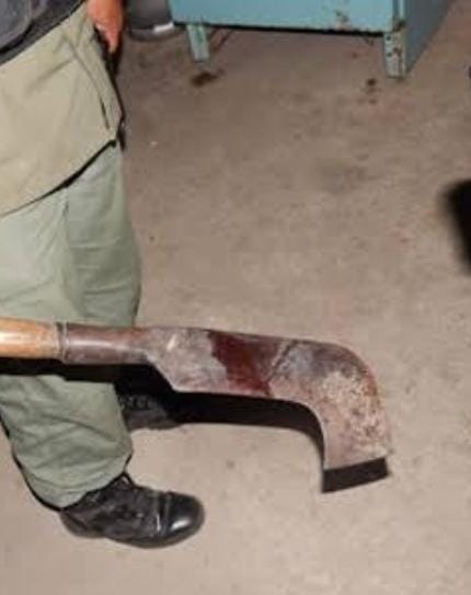 Agricultor que matou primo com golpes de foice em SC é condenado ...